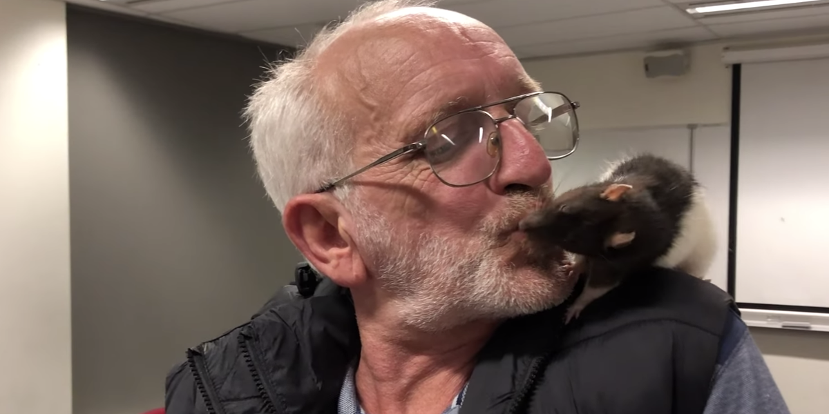 Police Reunite Homeless Man With His Pet Rat - The Dodo