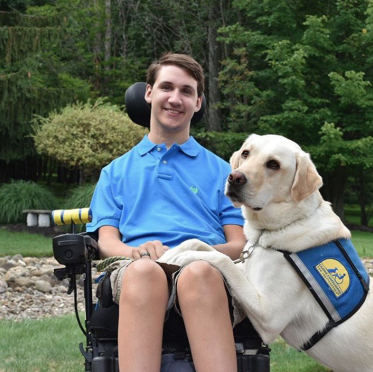 Watch This Adorable Service Dog Pick Out A Present On His Birthday ...