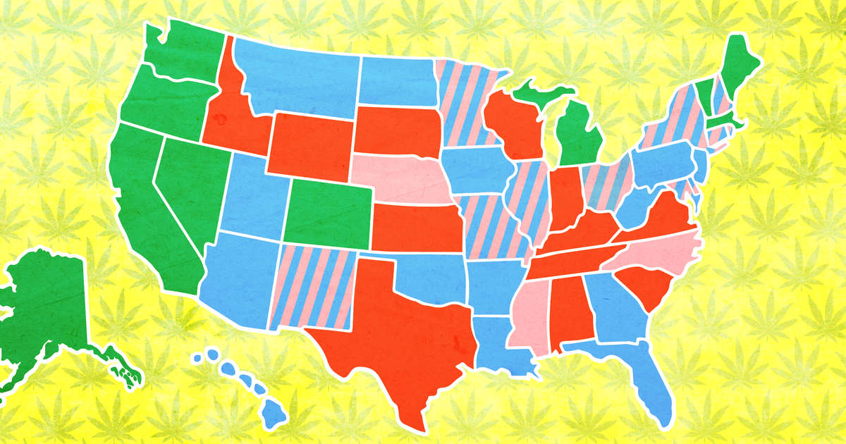 What States Have Legalized Weed? Weed Laws In All 50 States, Explained ... What States Have Legalized Weed? Weed Laws In All 50 States, Explained ...