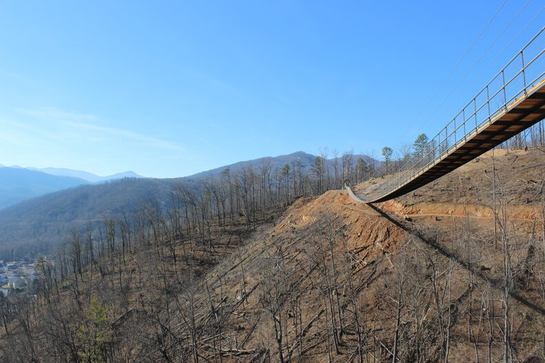 Gatlinburg SkyBridge: US's Longest Pedestrian Suspension Bridge Opens ...
