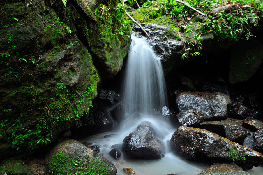Puerto Rico’s Tourism Cares: Green Initiatives for Sustainable Travel ...