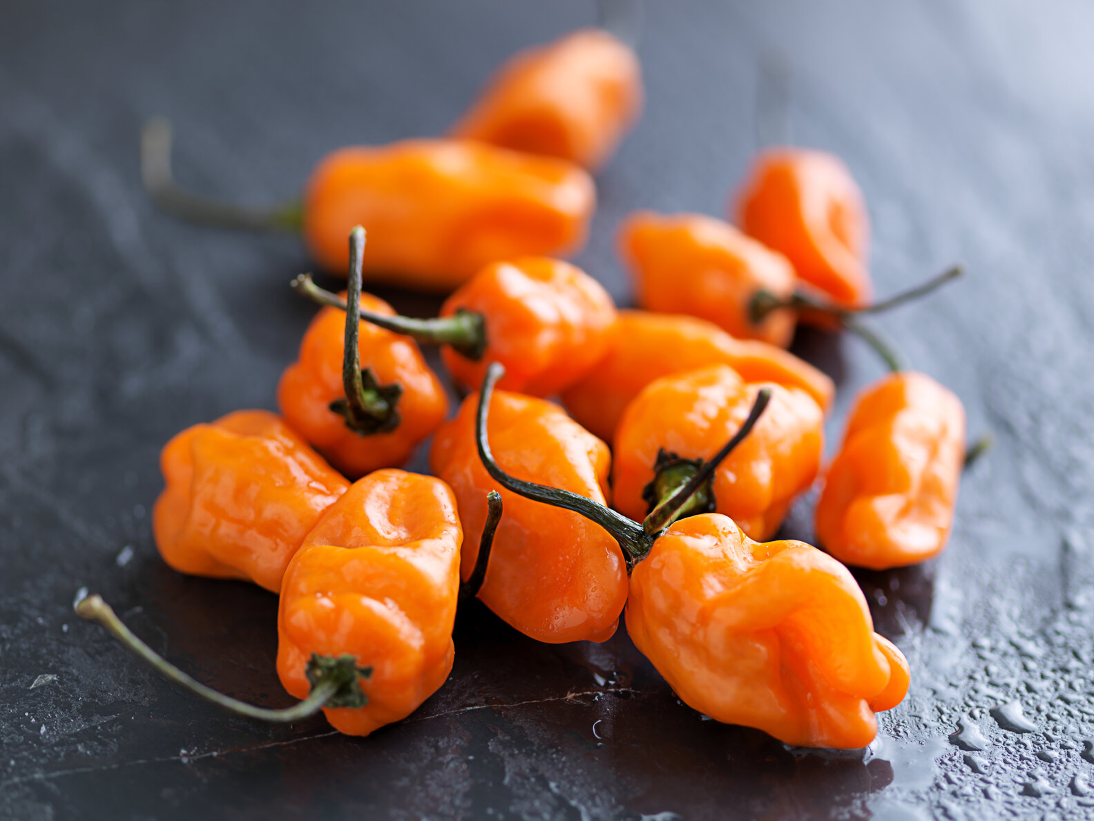 Types of Peppers, Explained: Heat Levels of Different Chili Peppers ...
