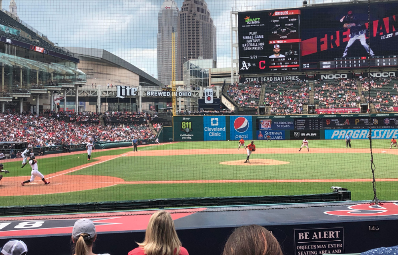 Guy Does The Sweetest Thing For A Dragonfly During A Baseball Game ...