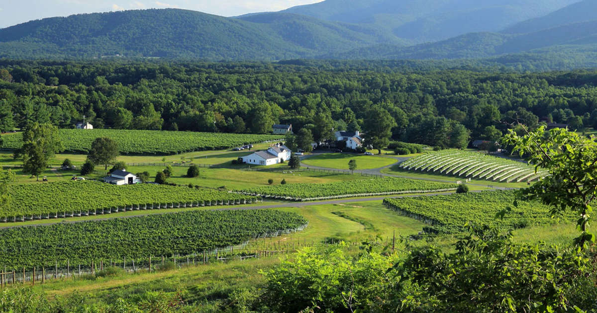 Things to Do in Charlottesville, Virginia: Where to Stay, What to Eat ...