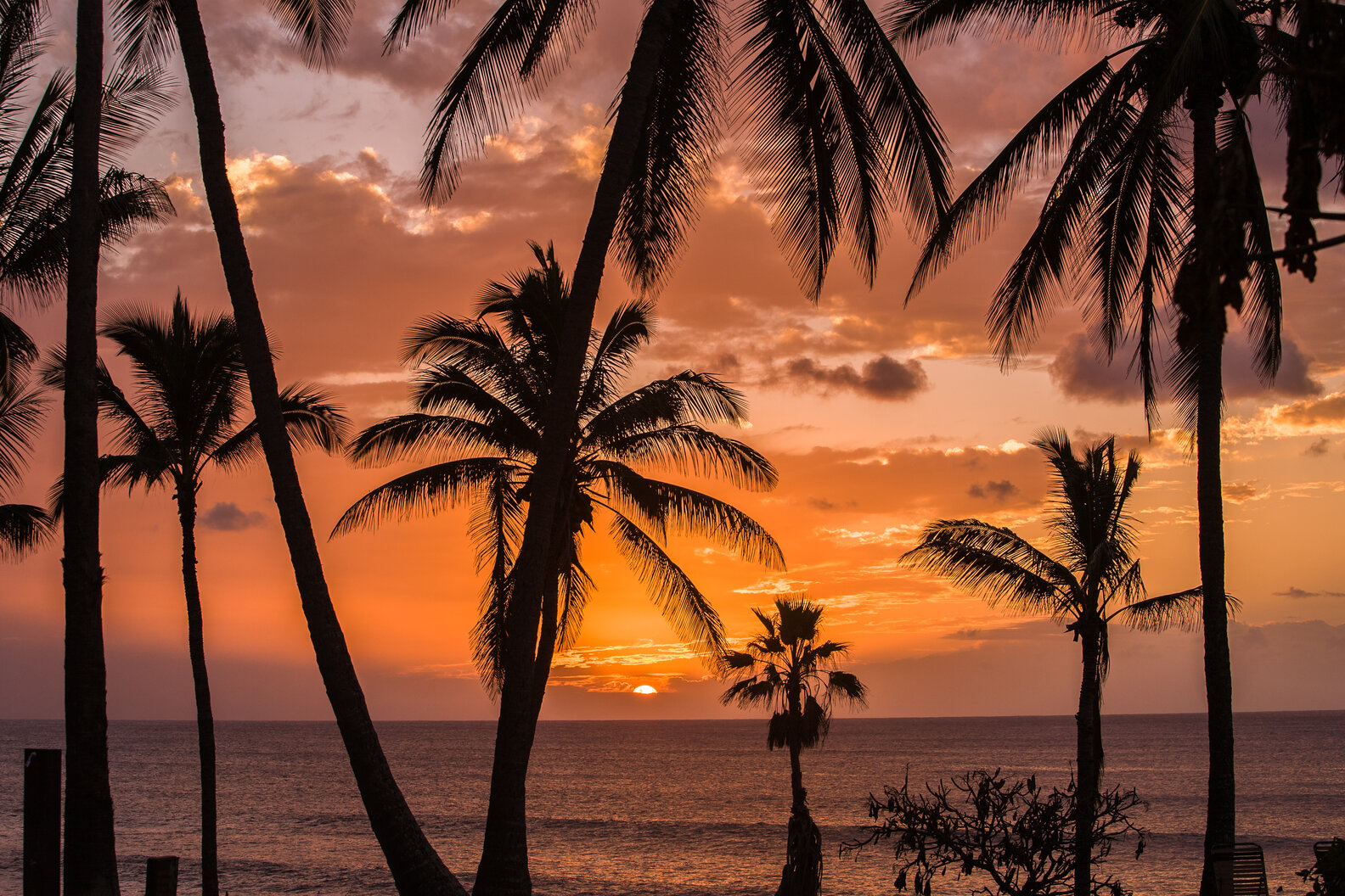 Best Beaches in Hawaii: Most Beautiful and Scenic Beaches to Visit ...