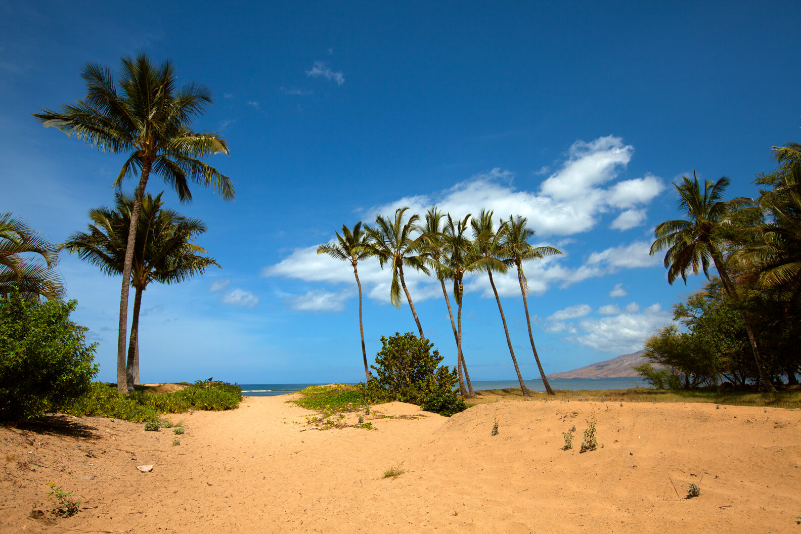 Best Beaches in Hawaii: Most Beautiful and Scenic Beaches to Visit ...