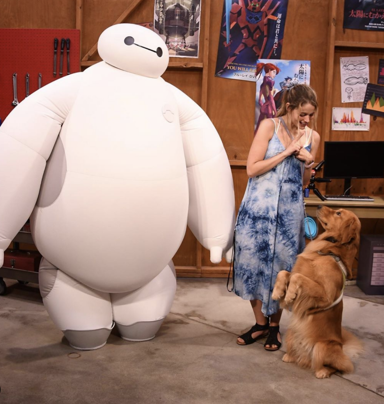 Service Dog Does Photoshoot At Disney World - The Dodo