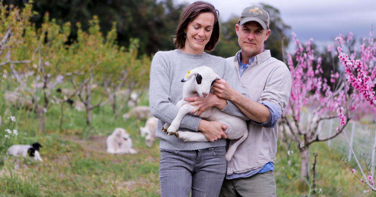 Best Documentaries of 2019 (So Far), Ranked: Top Docs This Year - Thrillist