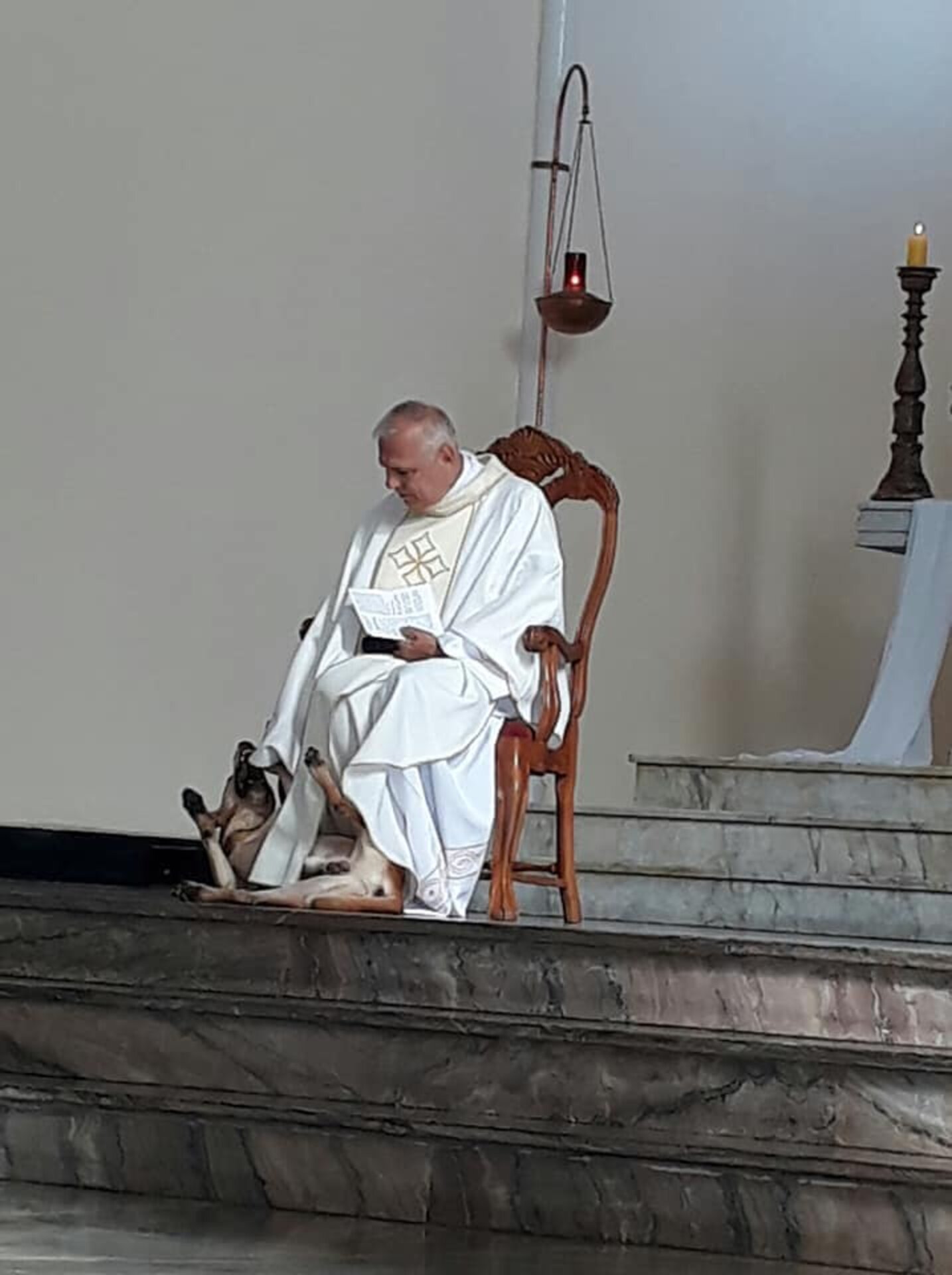 Priest Has Best Reaction After Playful Dog Crashes Church Service - The ...