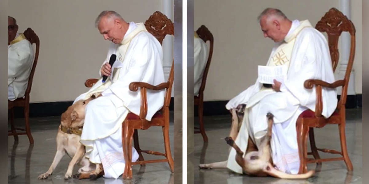 Priest Has Best Reaction After Playful Dog Crashes Church Service - The ...