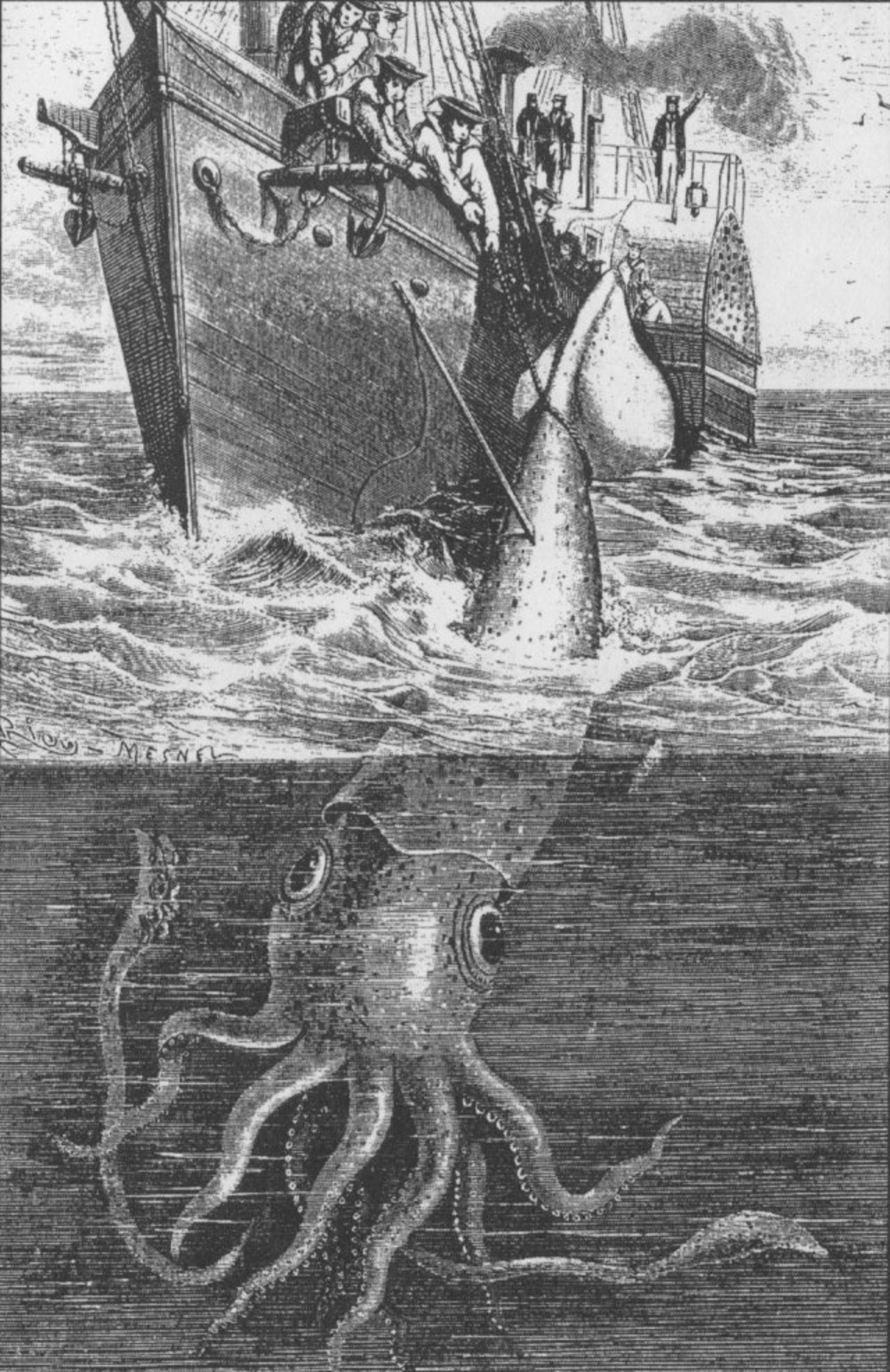 Gorgeous Giant Squid Captured On Video In US Waters For The First Time ...