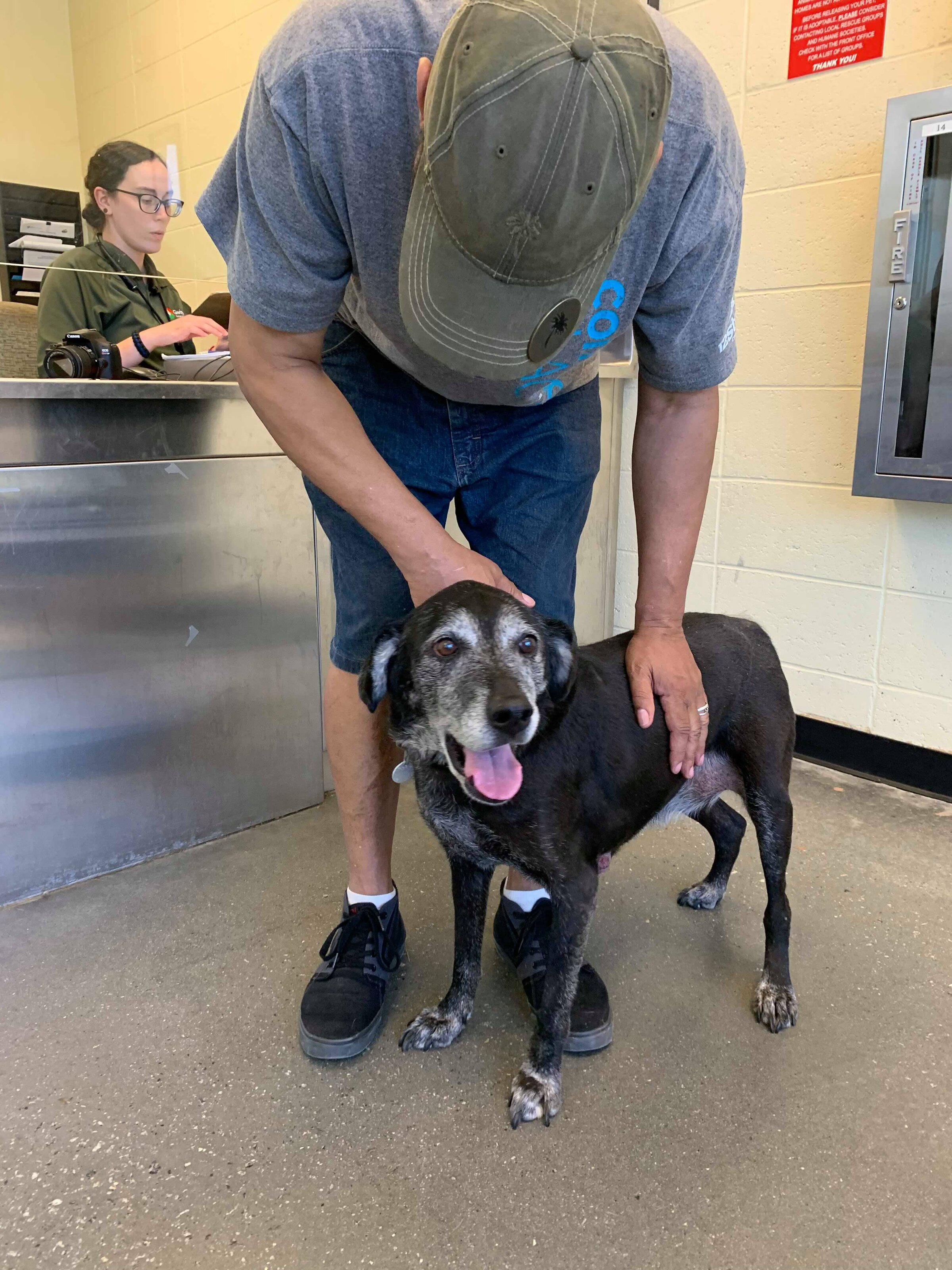 Community Rallies To Help Reunite Homeless Man With His Dog - The Dodo