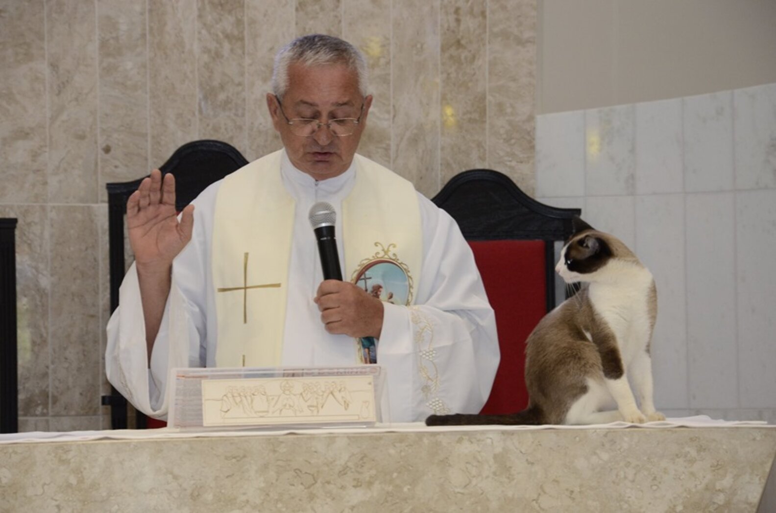 Cat Moves Into Church And Humbly Accepts All The Worshippers’ Praise ...