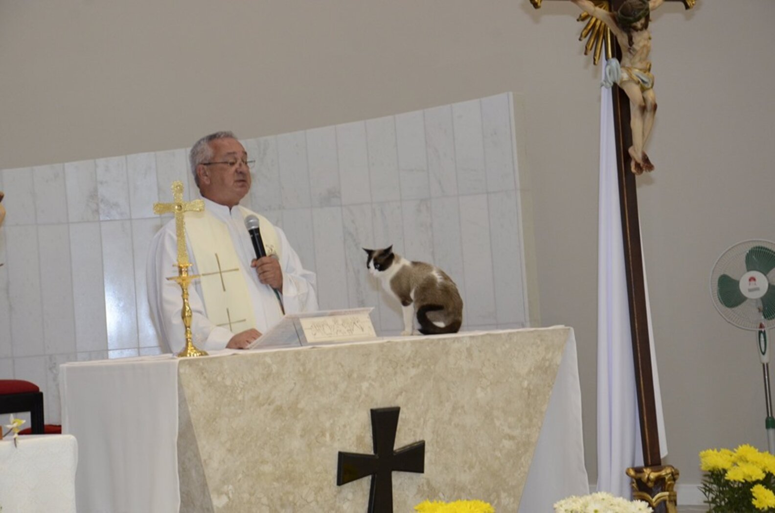 Cat Moves Into Church And Humbly Accepts All The Worshippers’ Praise ...
