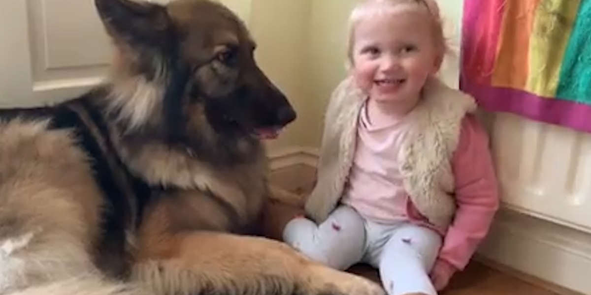 Little Girl Grows Up With Her Best Friend In Adorable Time Lapse ...