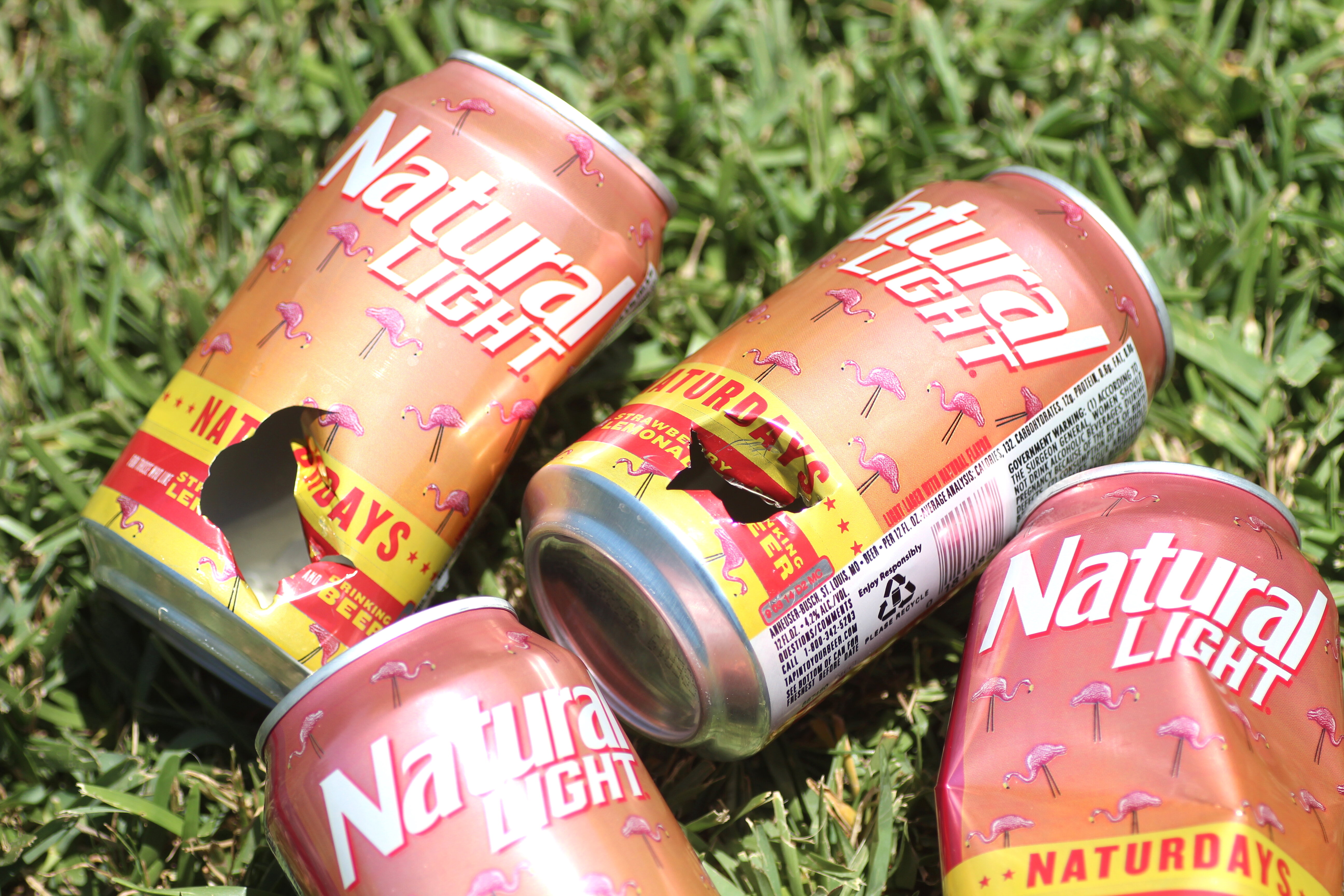 Natural Light Naturdays Review: Natty Light's Perfect New Summer Beer ...