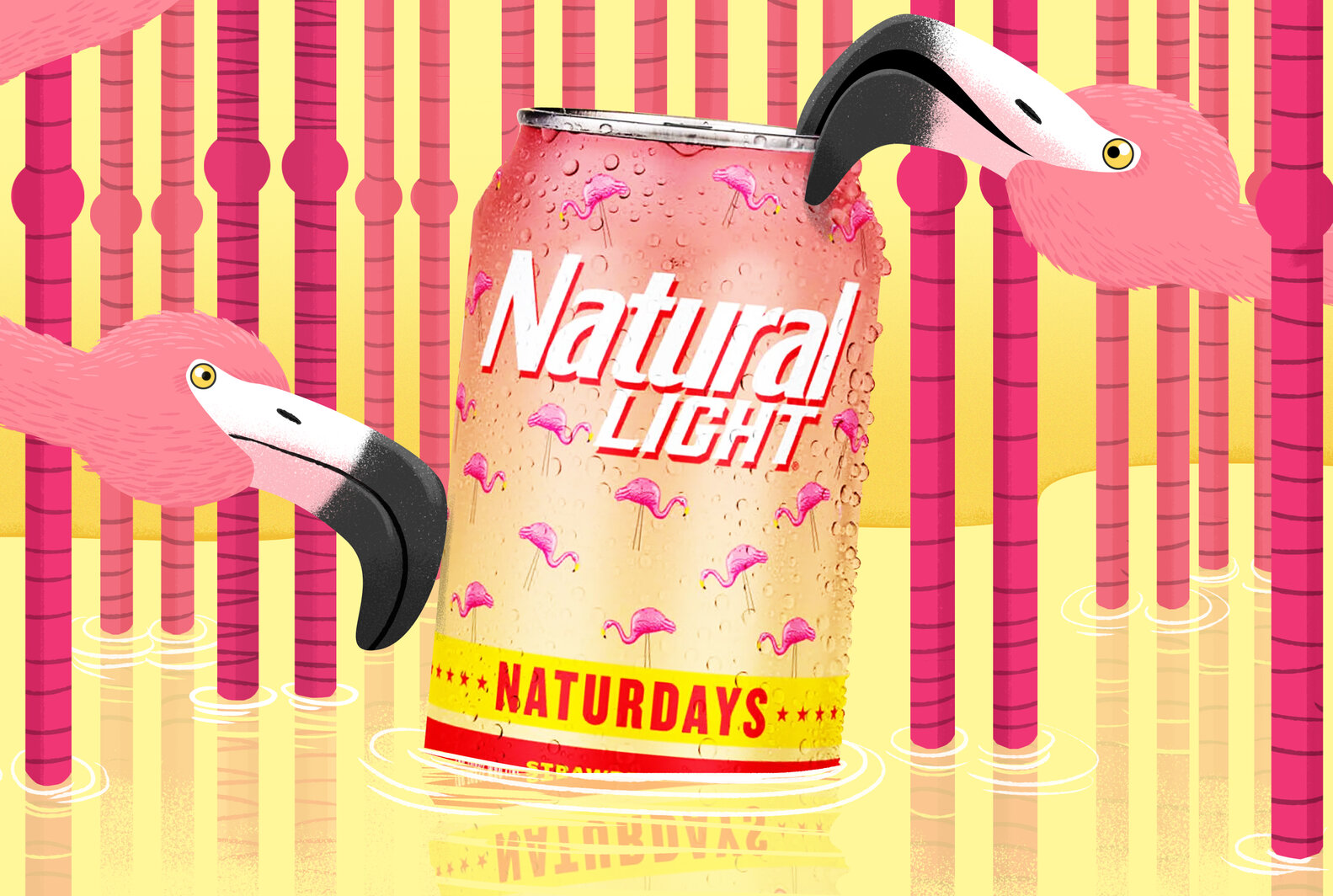 Natural Light Naturdays Review: Natty Light's Perfect New Summer Beer ...