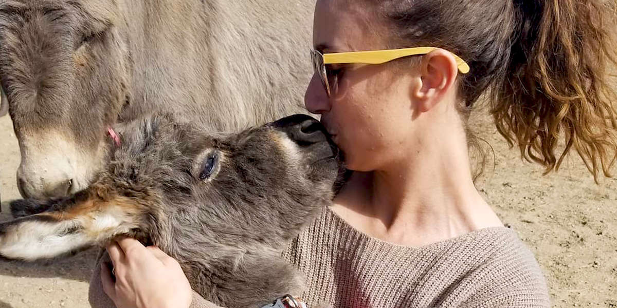 This Woman’s Daughter Is A Fuzzy Baby Donkey - Videos - The Dodo
