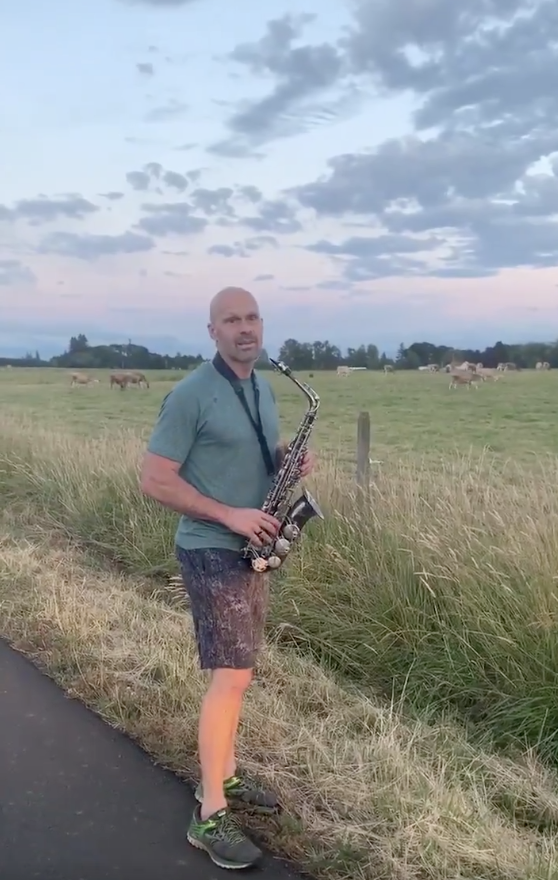 Man Plays Saxophone For Cows And They Love It - The Dodo