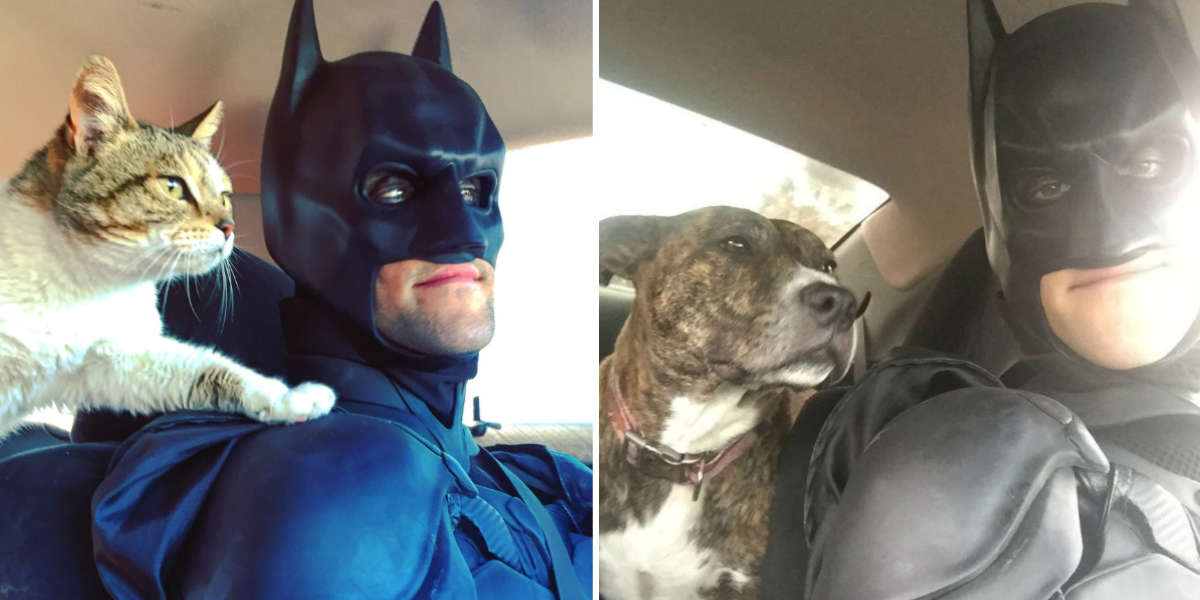 Real-Life Batman Is On A Mission To Rescue Homeless Dogs And Cats - The ...