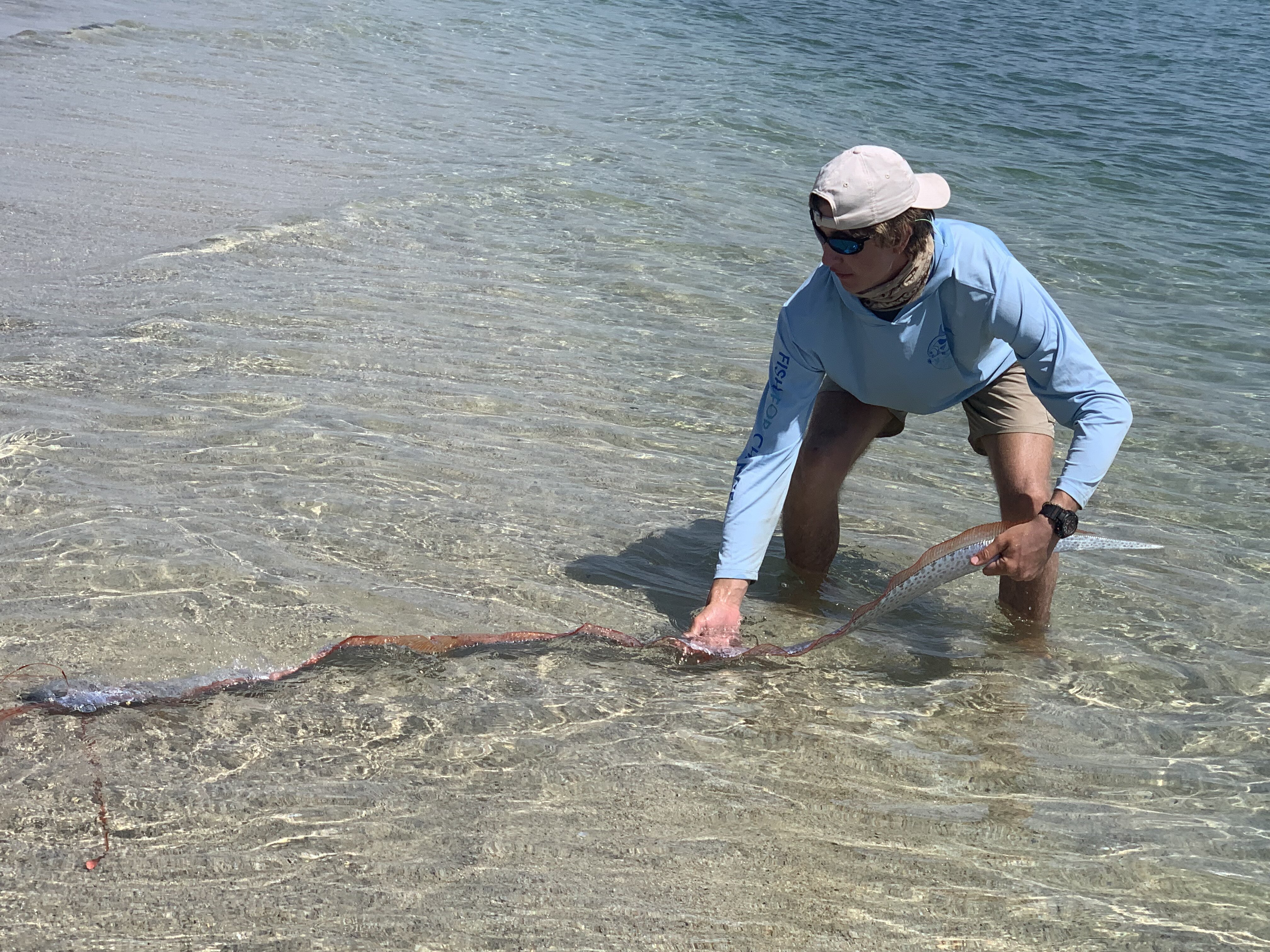 Fishmen Find Living Oarfish On Mexico Beach - The Dodo