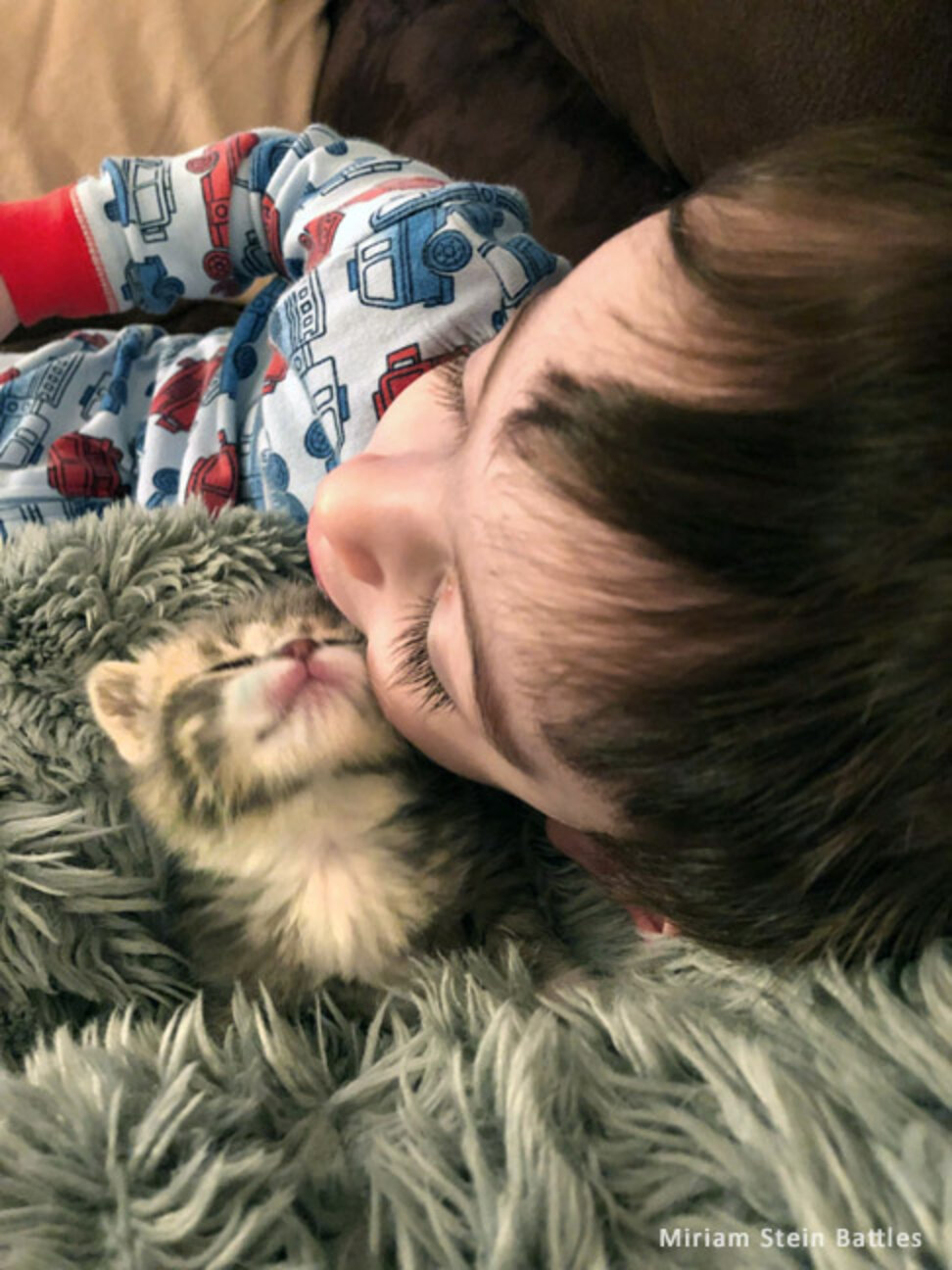 The Special Connection Between Kids And Animals Is Coming To Light ...