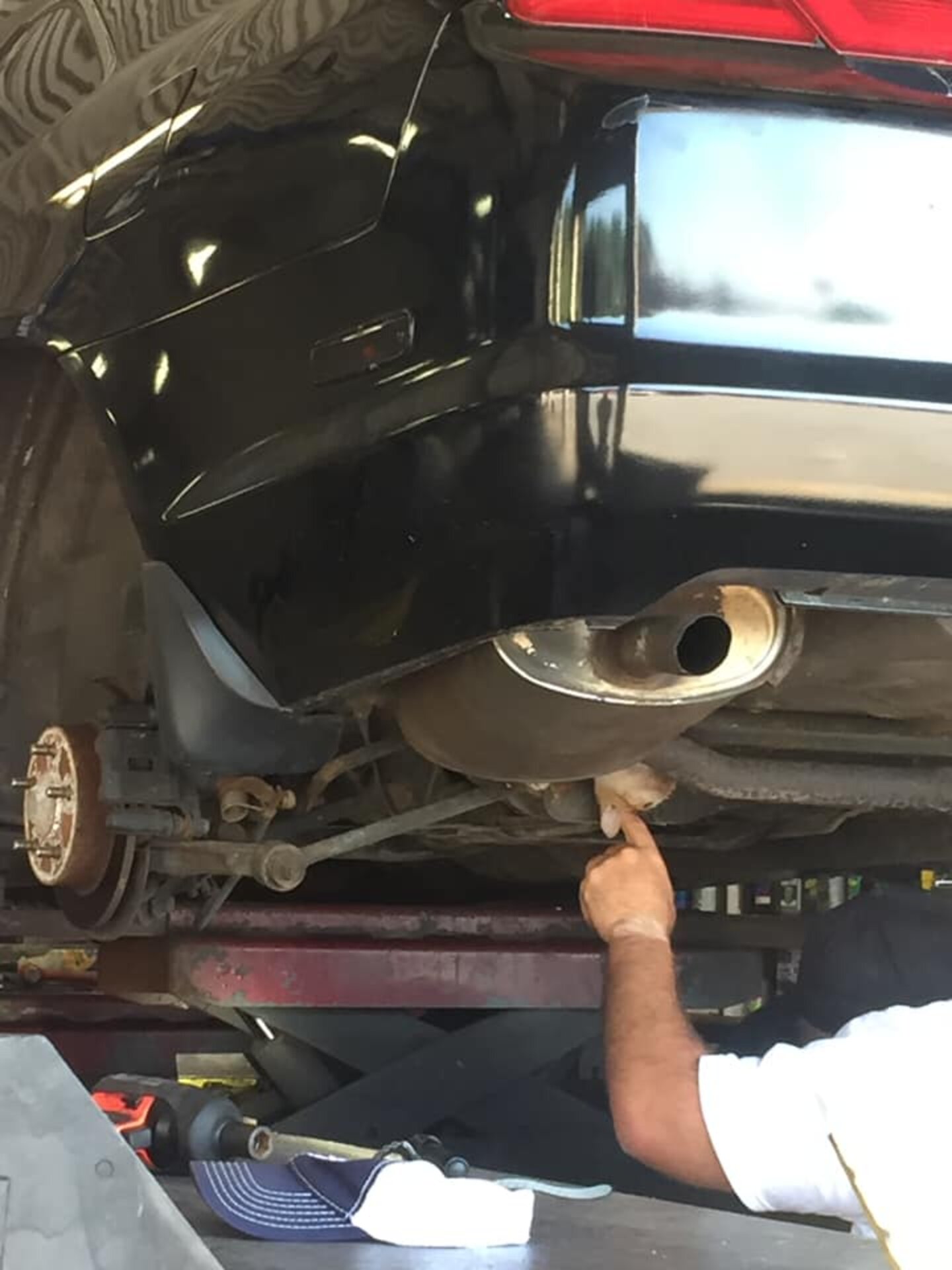 Kitten Accidentally Gets Stuck Under Car - The Dodo