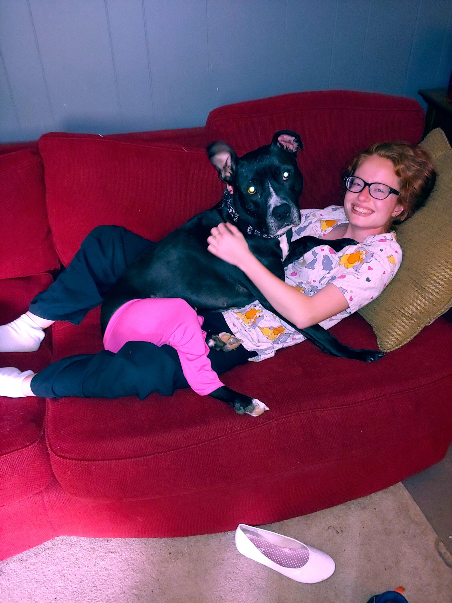 Dog Wear Pants After Hurting Her Tail - The Dodo