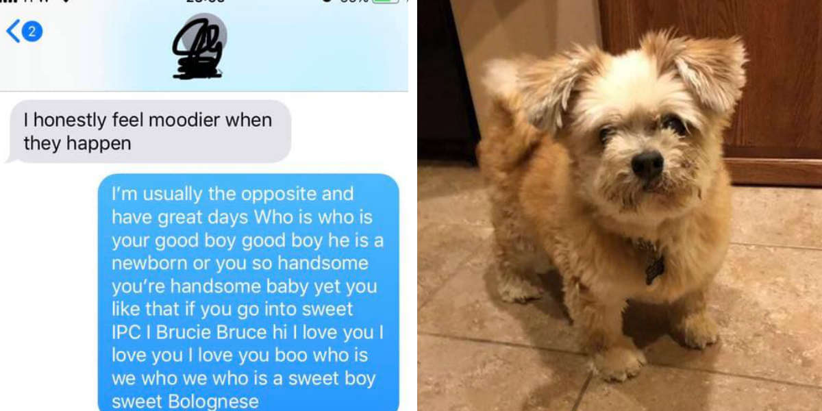 Woman Accidentally Sends A Text Of Herself Talking To Her Dog - The Dodo