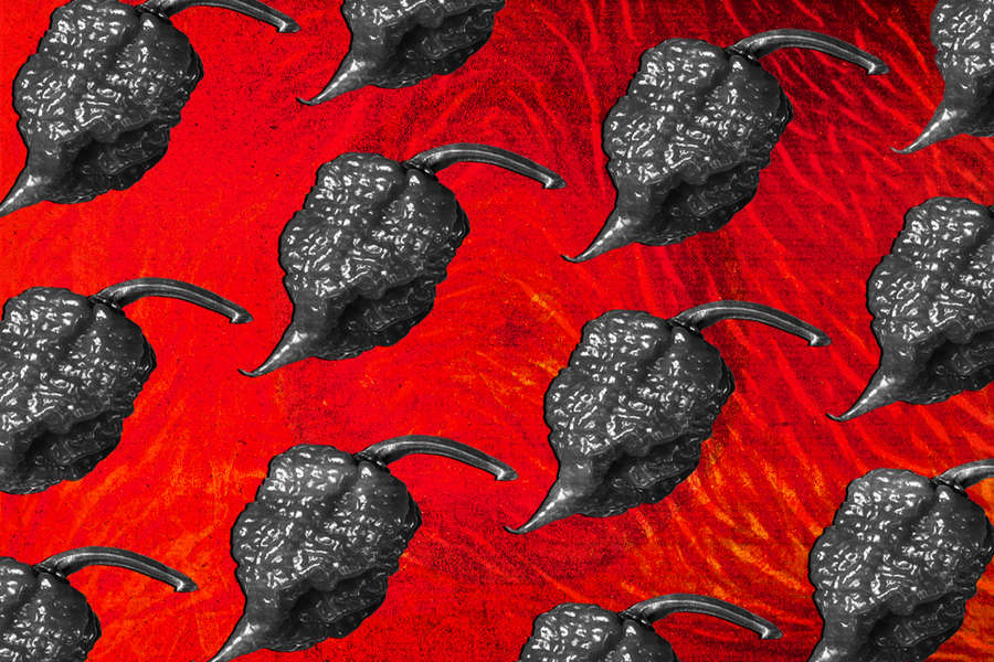 Carolina Reaper History: How Ed Currie Grew the World's Hottest Pepper ...