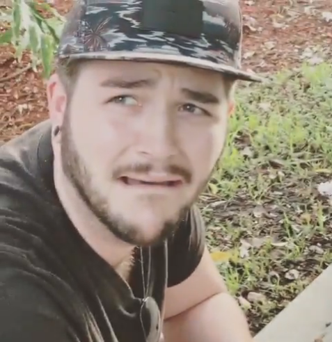 Ducklings Are So Excited To Reunite With Their Brother Who Was Sick ...