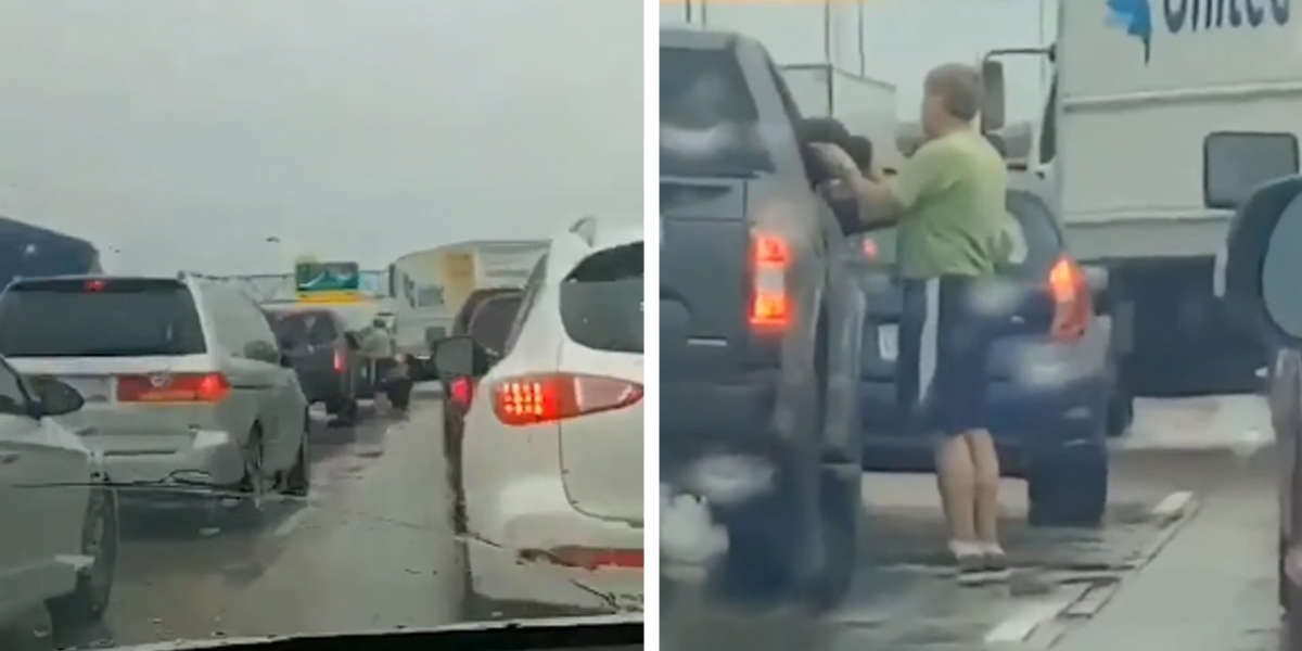 Guy Stuck In Traffic Jam Gets Out Of Car To Pet A Dog - The Dodo