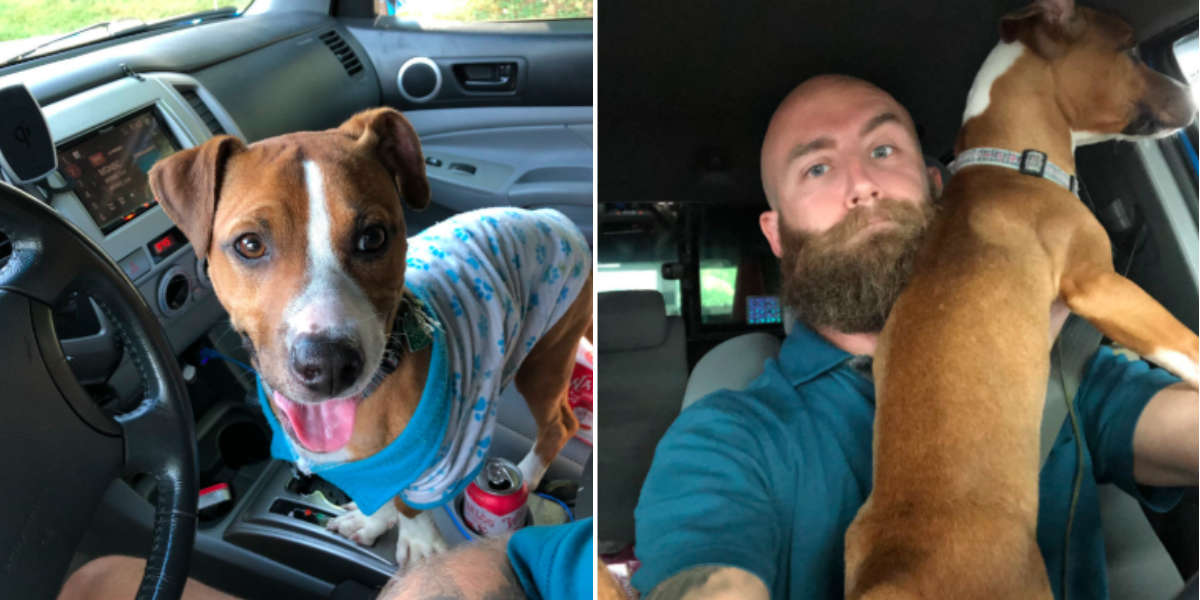 Man Finds A Lost Dog On His Way To Work — And Adopts Him - The Dodo