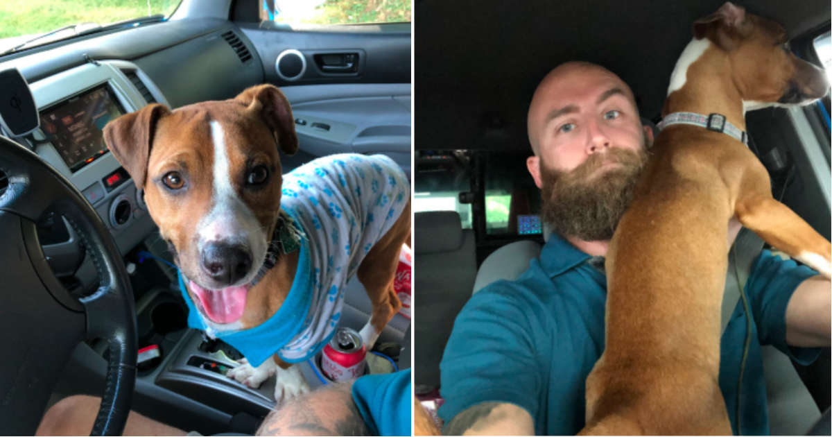 Man Finds A Lost Dog On His Way To Work — And Adopts Him - The Dodo