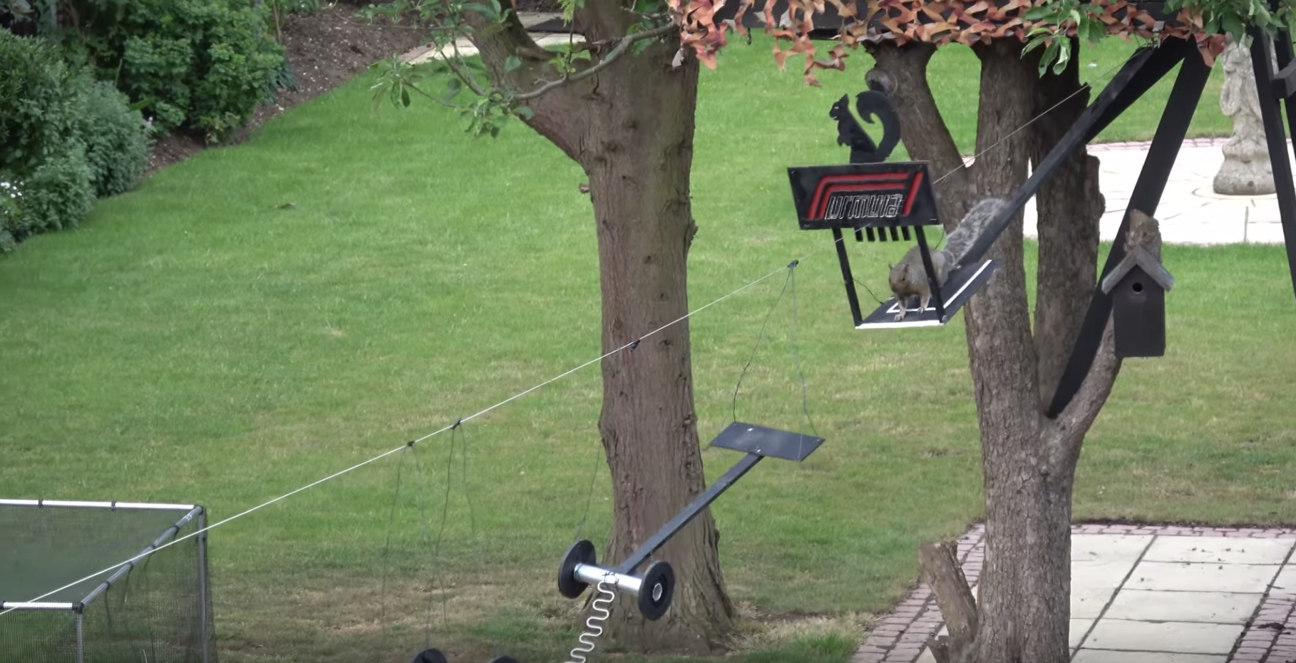 Guy Builds Racetrack For Backyard Squirrels - The Dodo