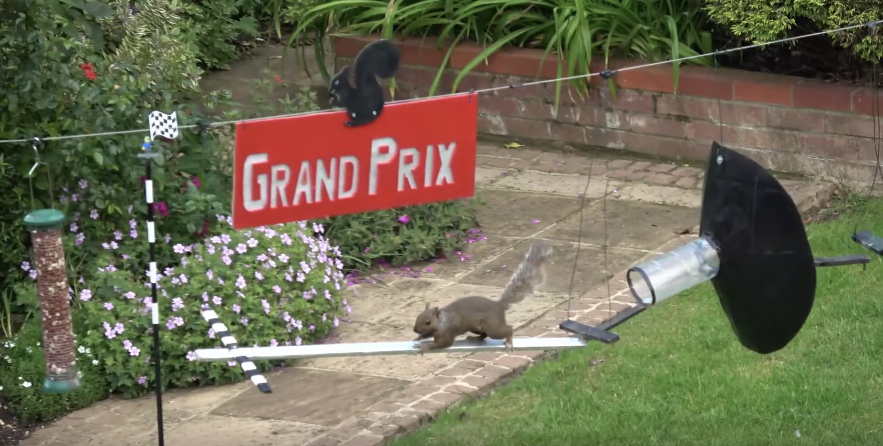 Guy Builds Racetrack For Backyard Squirrels - The Dodo