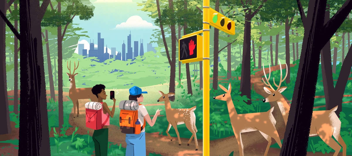 How to Hike the Chicago Outerbelt Trail: Everthing You Need to Know ...