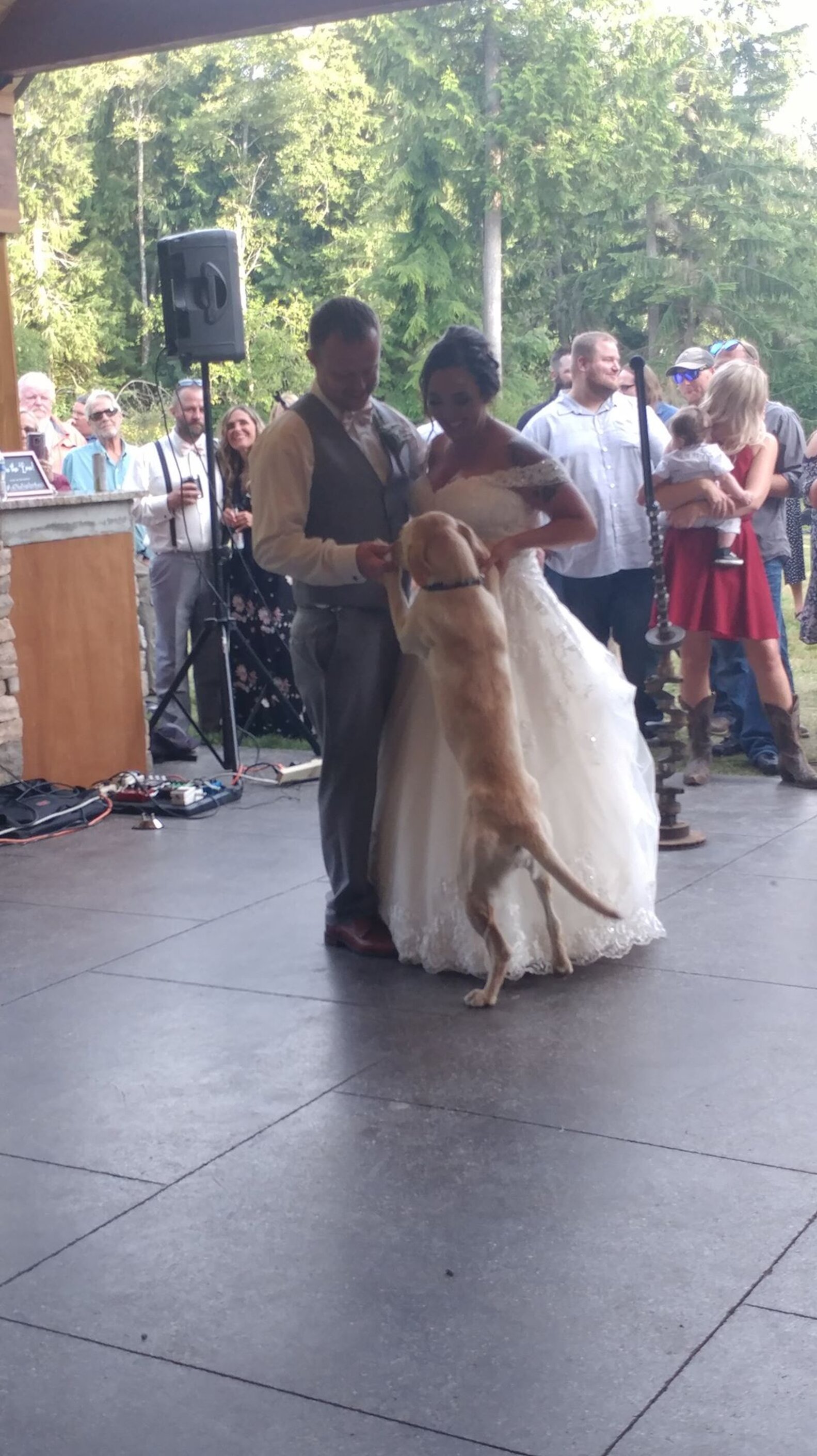 Dog Joins Her Parents For First Dance At Their Wedding The Dodo