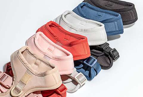 Wild One Harness Review - The Dodo