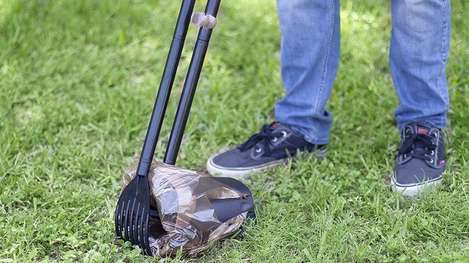 Dodo Picks - The Dodo