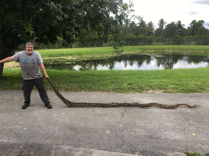 Florida Man Catches 18-Foot Python in Big Cypress National Preserve ...