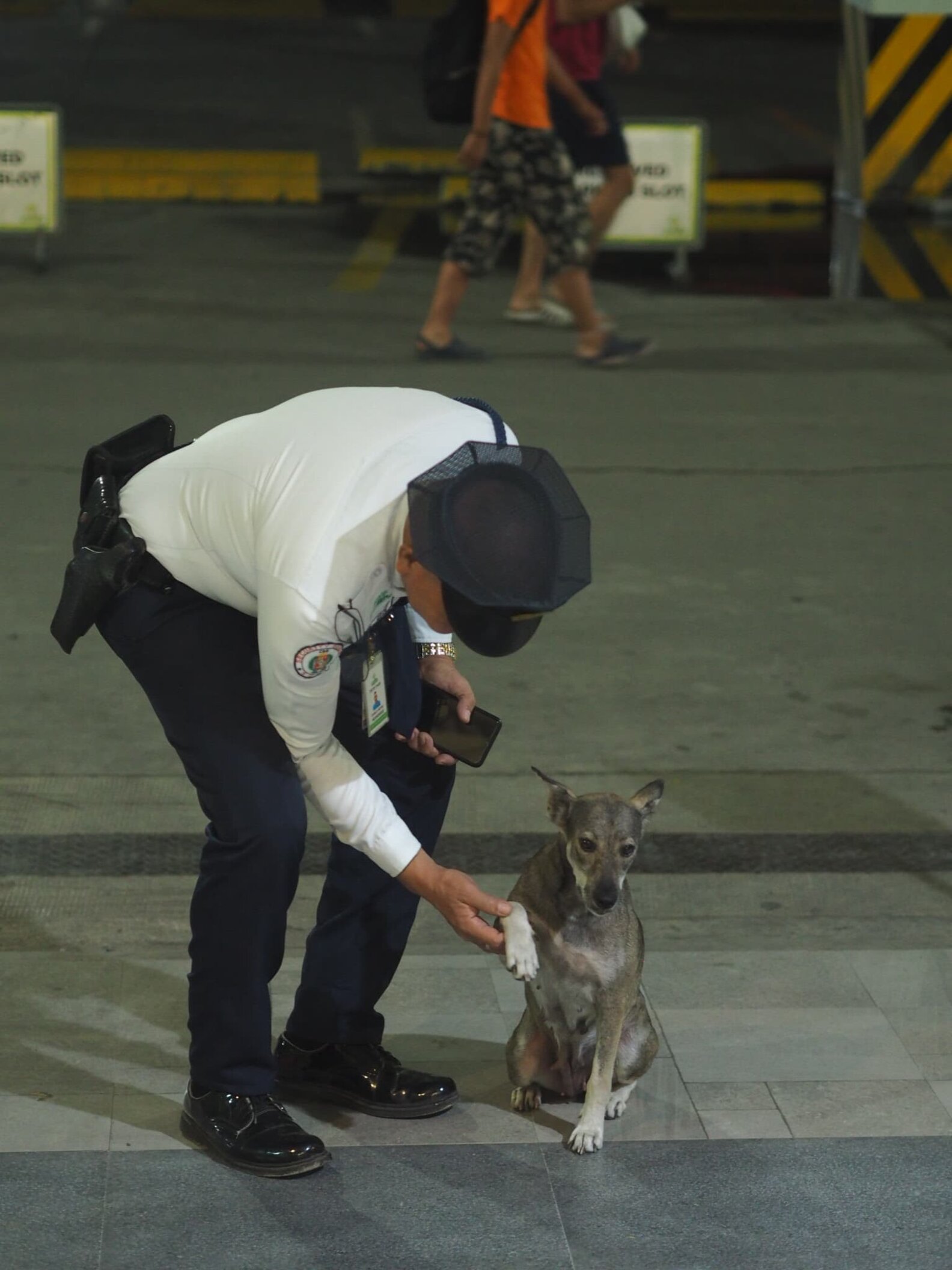 Stray Dog Follows Mall Security Guard Around Until He Adopts Her - The Dodo