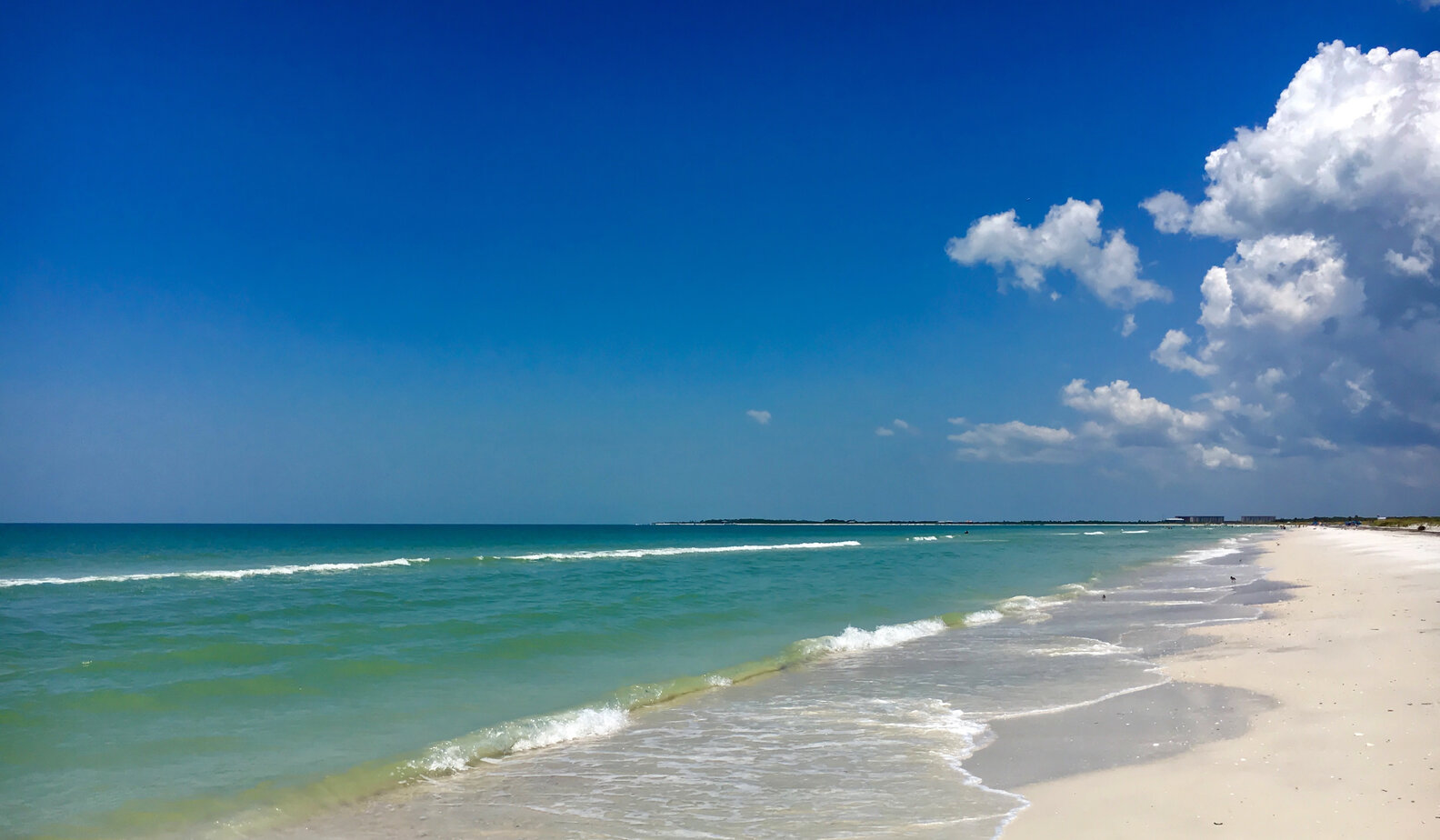 Best Beaches in Tampa Bay: Clearwater, Redington & More - Thrillist