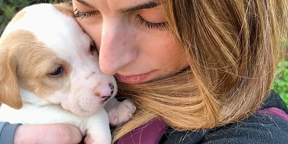 Girl Flies Across Country To Rescue Dogs Who’d Been Abandoned - Videos ...