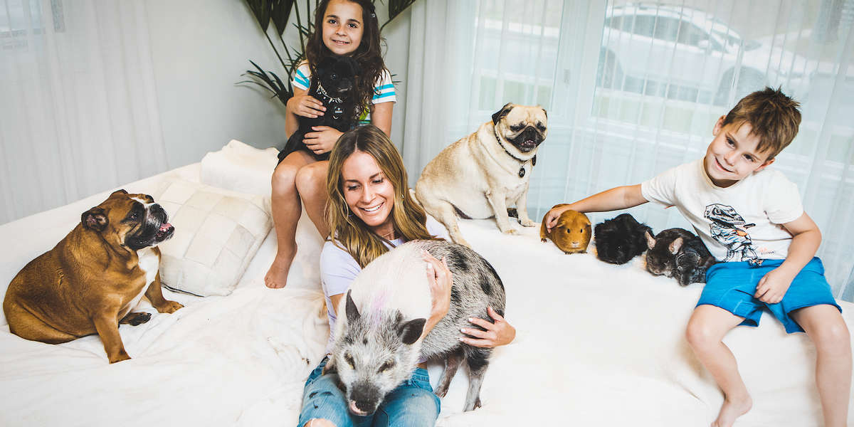 A Day In The Life Of A Family With 15 Pets - Videos - The Dodo