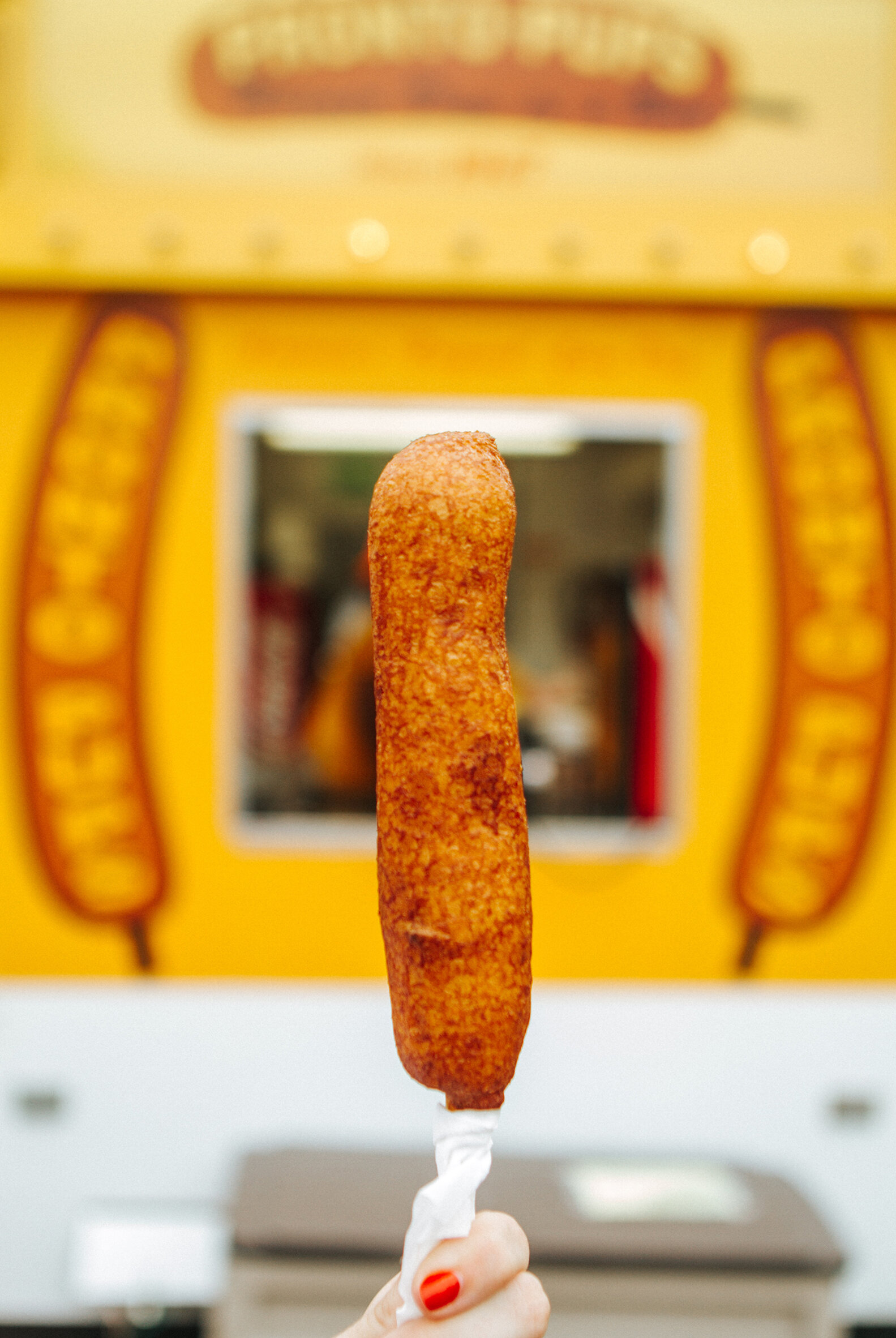 Best State Fairs in the US: The Most Charming, Wacky & Delicious Fairs ...