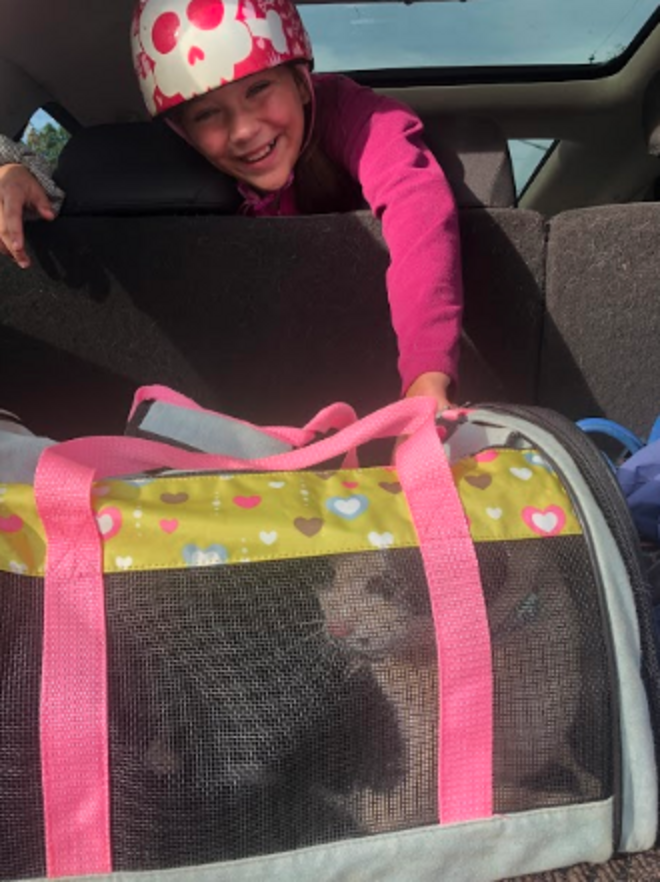 10-Year-Old Pet Detective Solves Her Very First Case - The Dodo