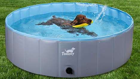 Dodo Picks - The Dodo