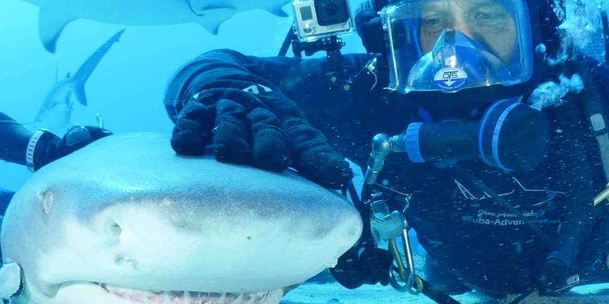 Shark Is Always Excited To See Her Favorite Person - Videos - The Dodo