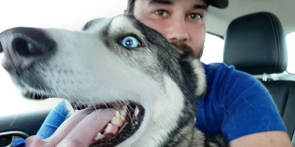 Man Reunited With Lost Dog - The Dodo